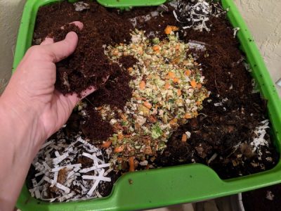 How to Vermicompost At Home - Countryside